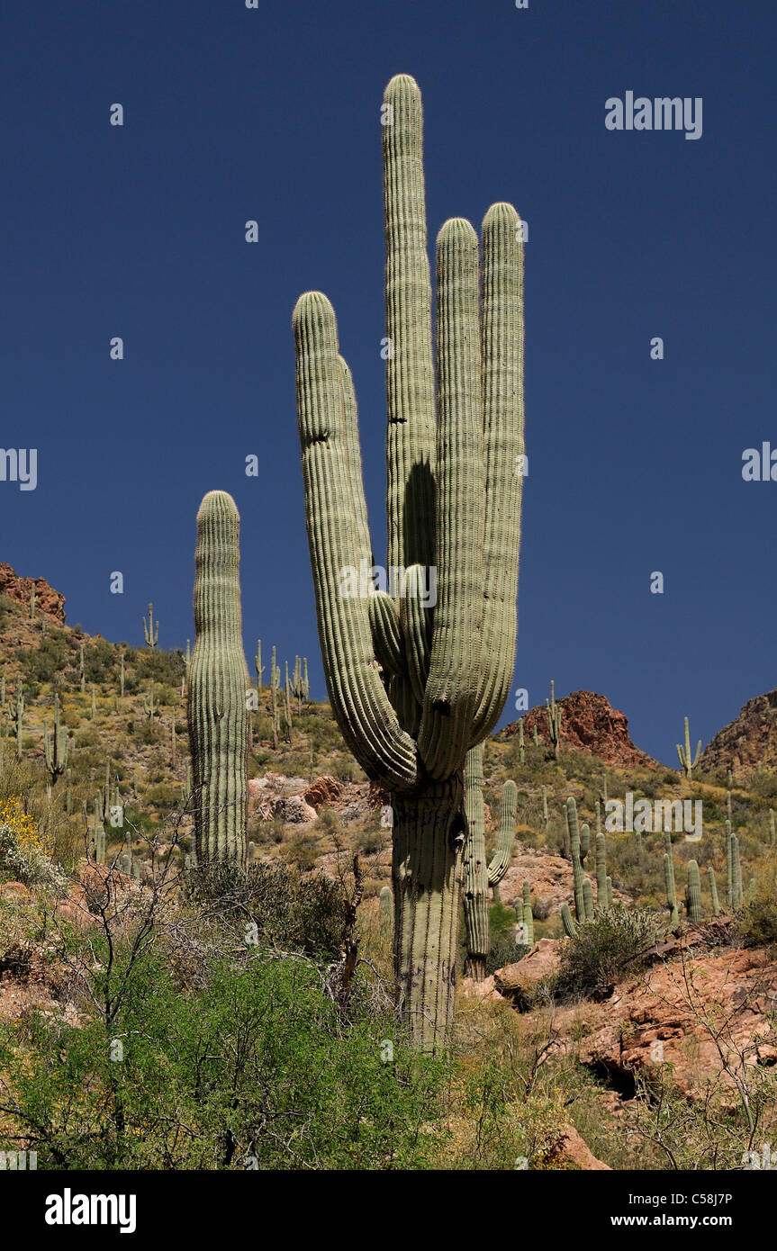 Apache Trail Historic Road High Resolution Stock Photography and Images ...