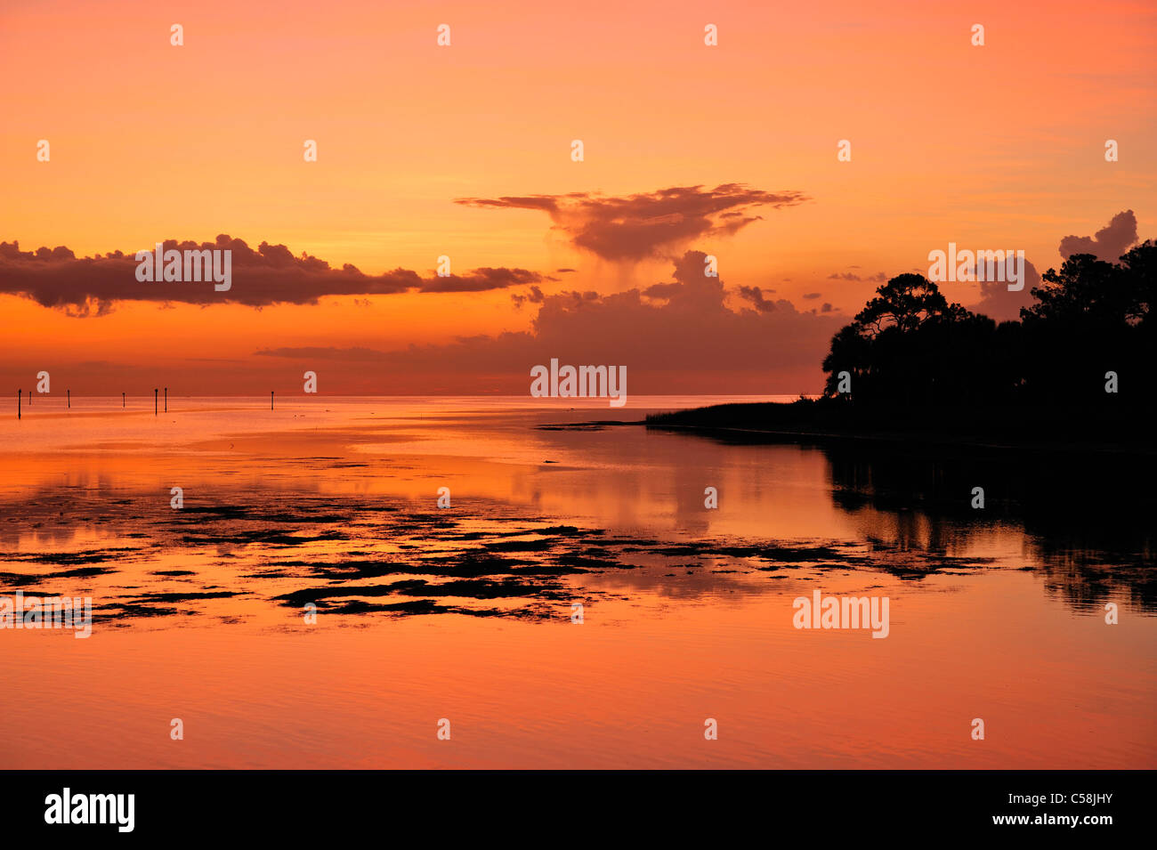 Bayport Park, Dusk, Pine Island, near Spring Hill, Florida, USA, United ...