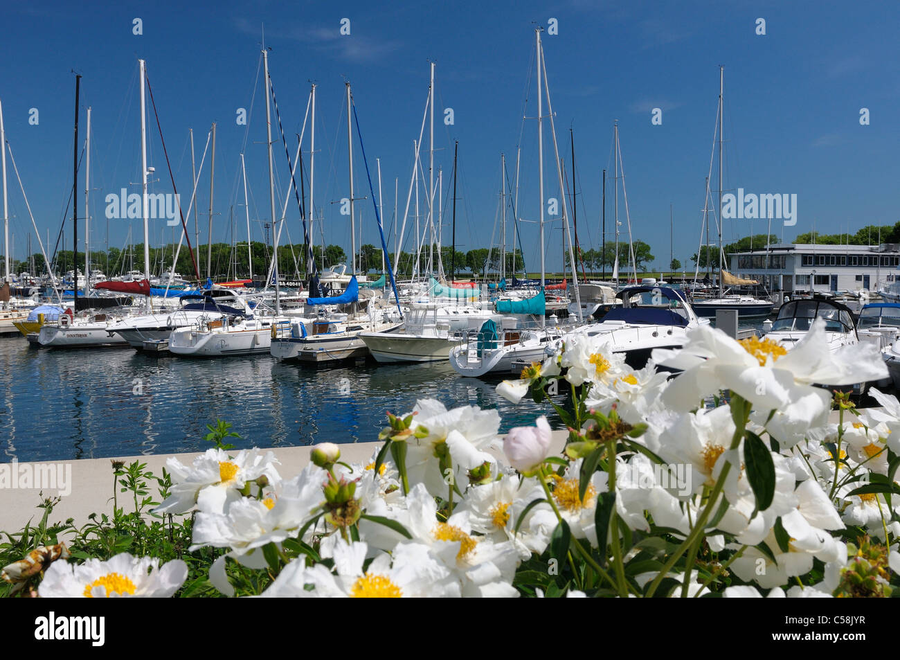 Belmont marina chicago illinois usa hi-res stock photography and images ...