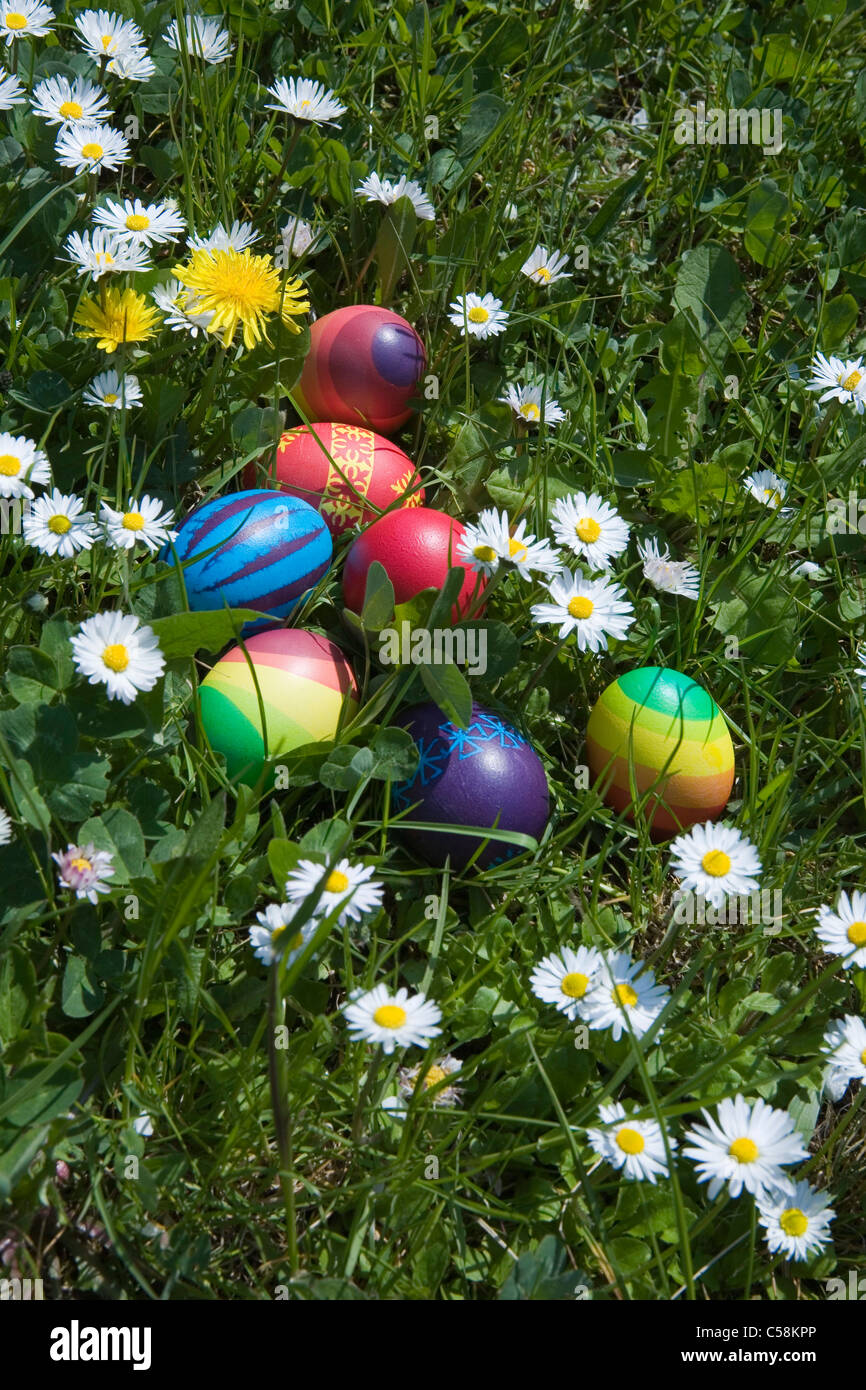 Easter eggs in a grass Stock Photo - Alamy