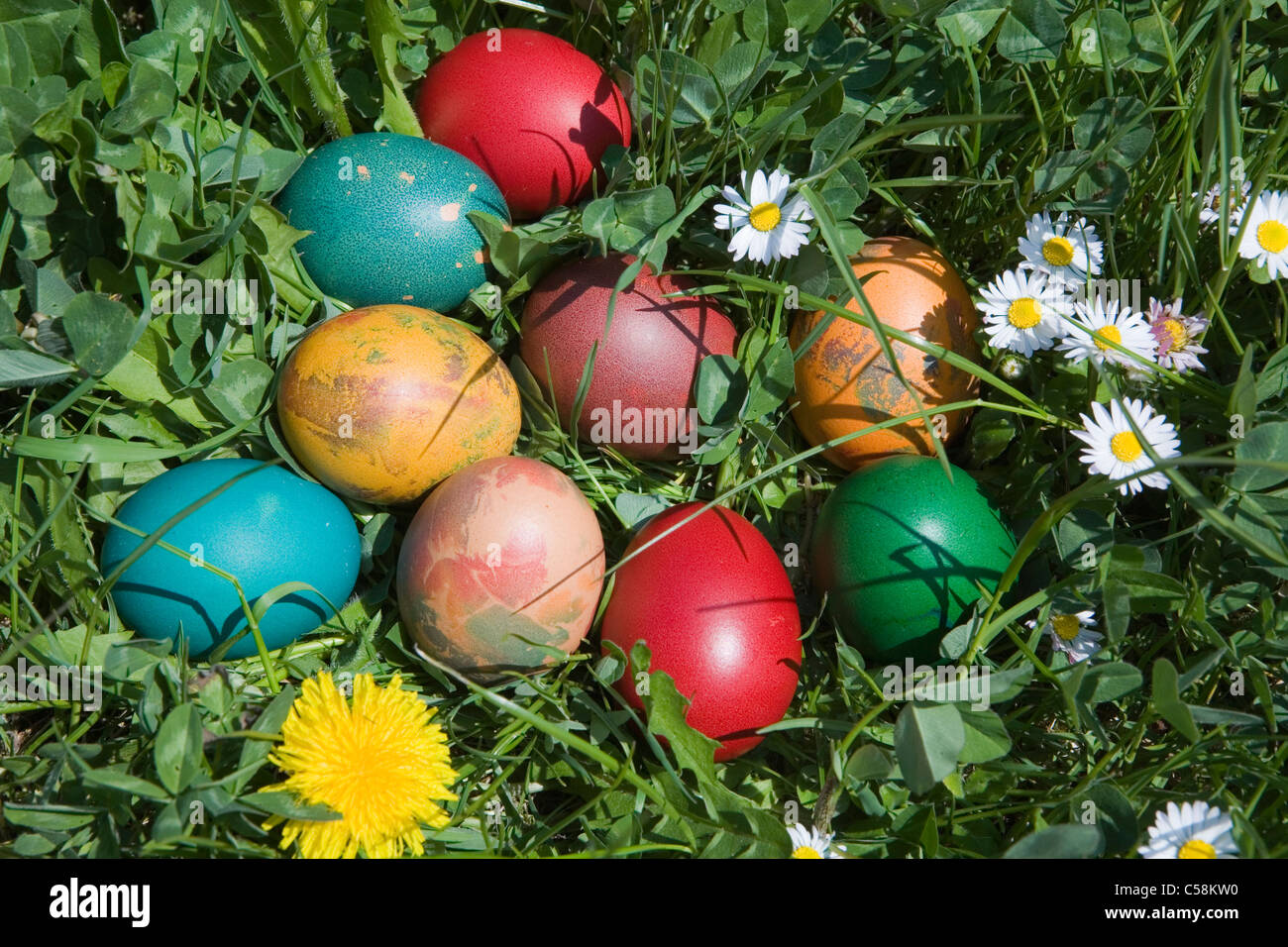 Easter eggs in a grass Stock Photo - Alamy