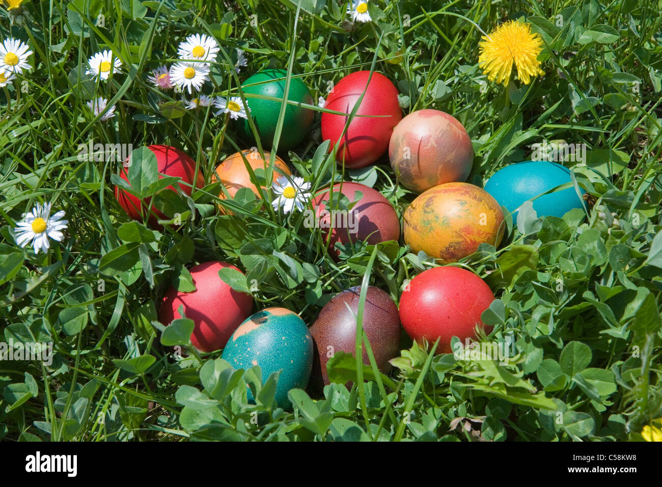 Easter eggs in a grass Stock Photo - Alamy