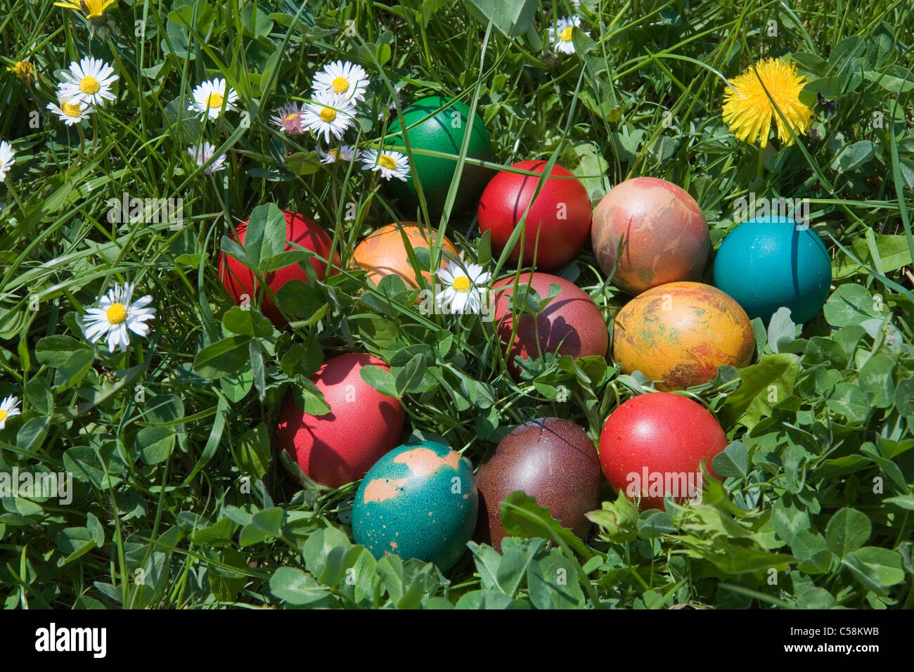 Easter eggs in a grass Stock Photo - Alamy