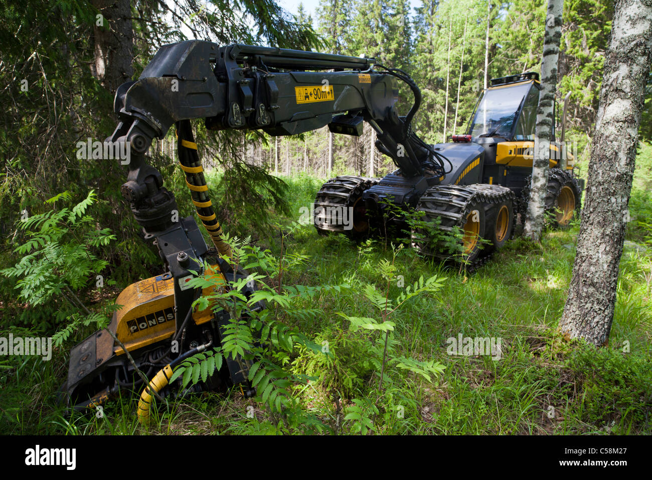 Modern Logging Pictures