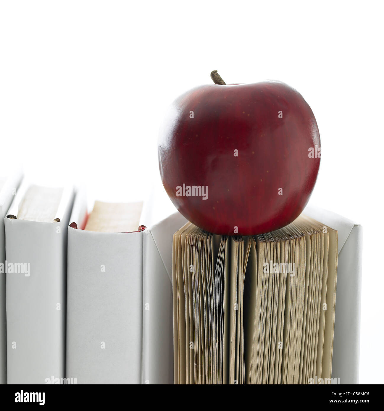 Bookbook hi-res stock photography and images - Alamy