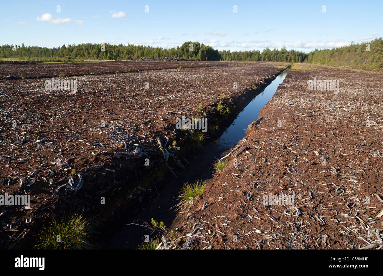 Drainage ditch at a commercial peat bog , Finland Stock Photo - Alamy