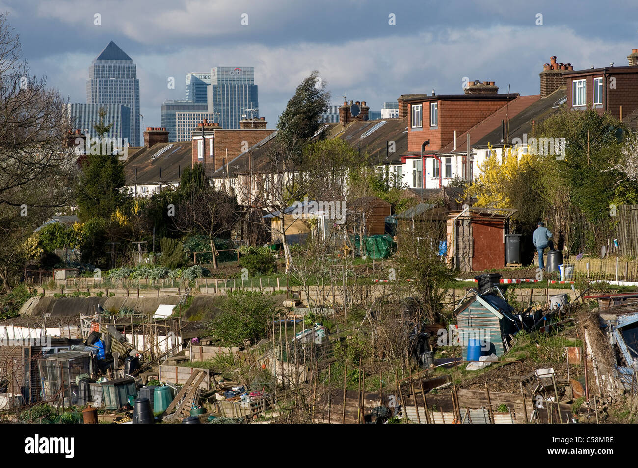 Allotments near the Docklands area of London, England Stock Photo - Alamy
