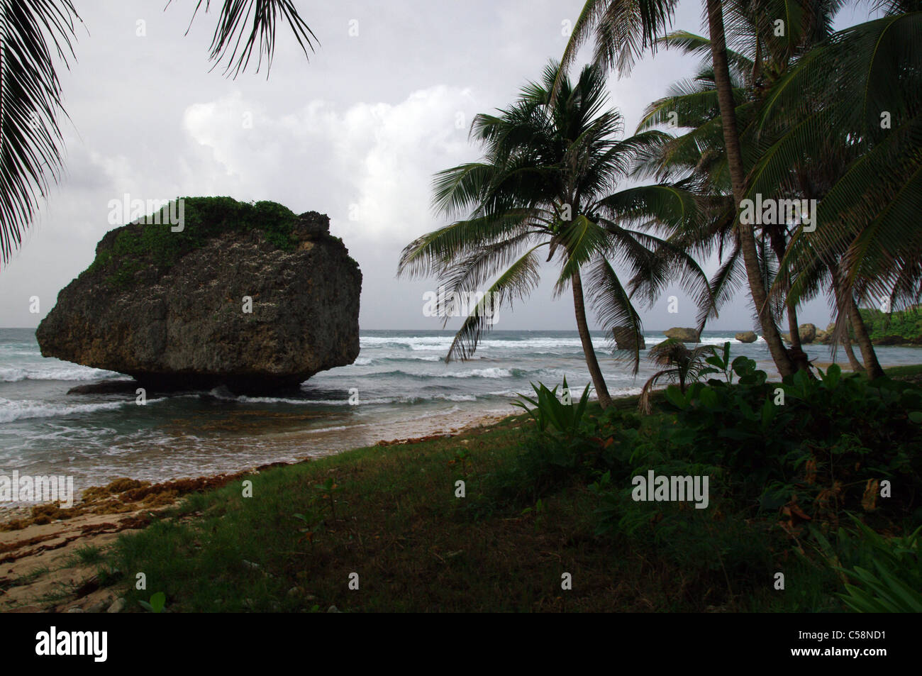Bathsheba Rock, Barbados Stock Photo - Alamy