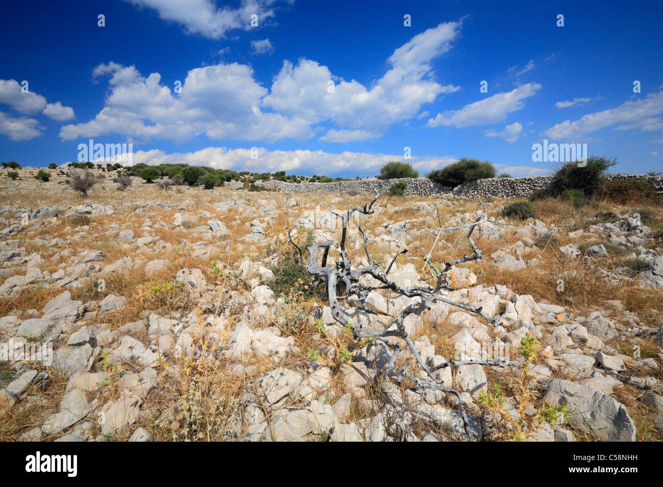 Natural landscape of island Pag in Croatia Stock Photo - Alamy