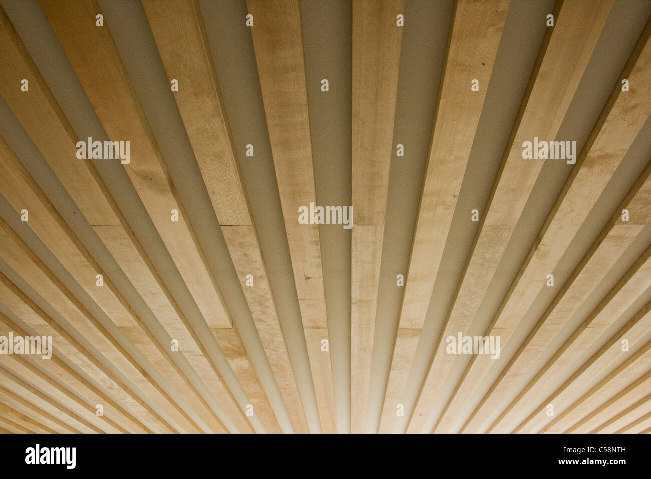 Wooden paneled ceiling Stock Photo - Alamy