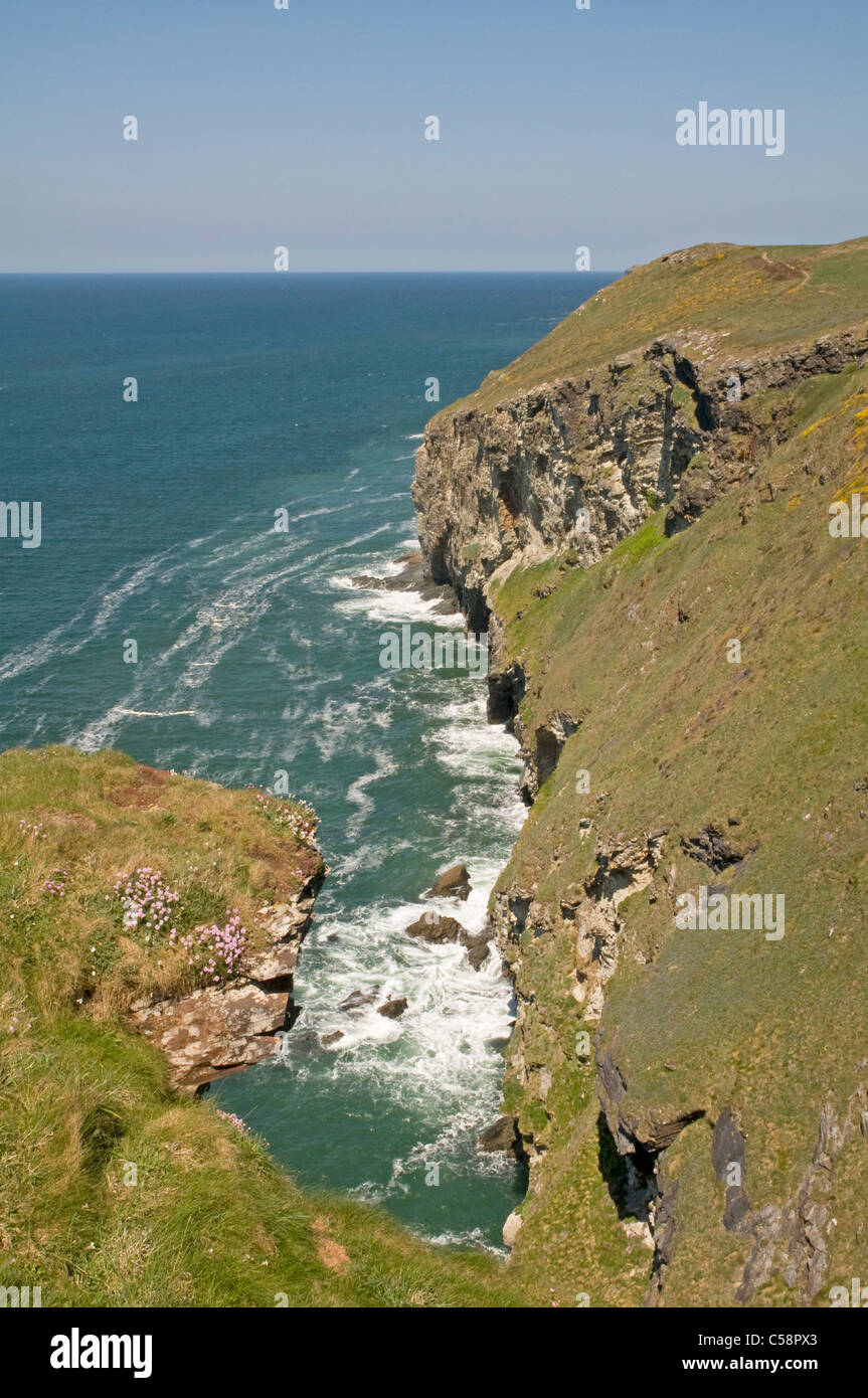 On Cornwall's Atlantic coast, looking north towards Dennis Point, close ...