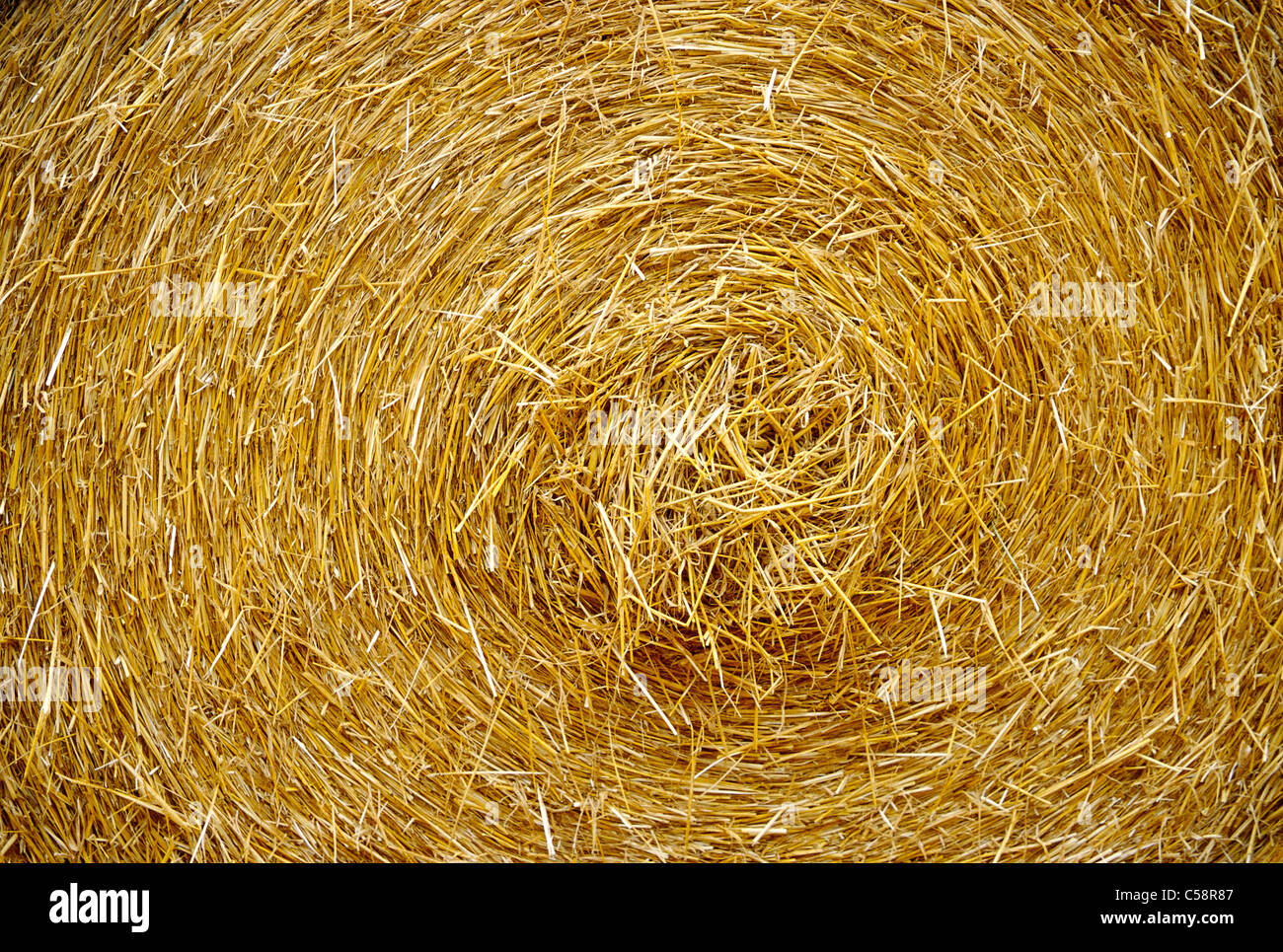 Freshly cut and rolled hay in farm fields, Burgandy Region, France ...