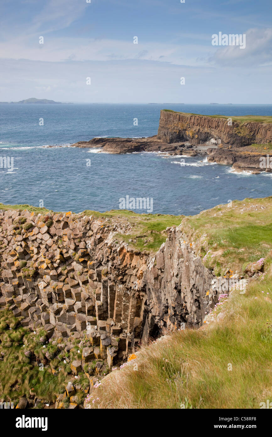 Staffa; showing basalt columns; Scotland Stock Photo - Alamy