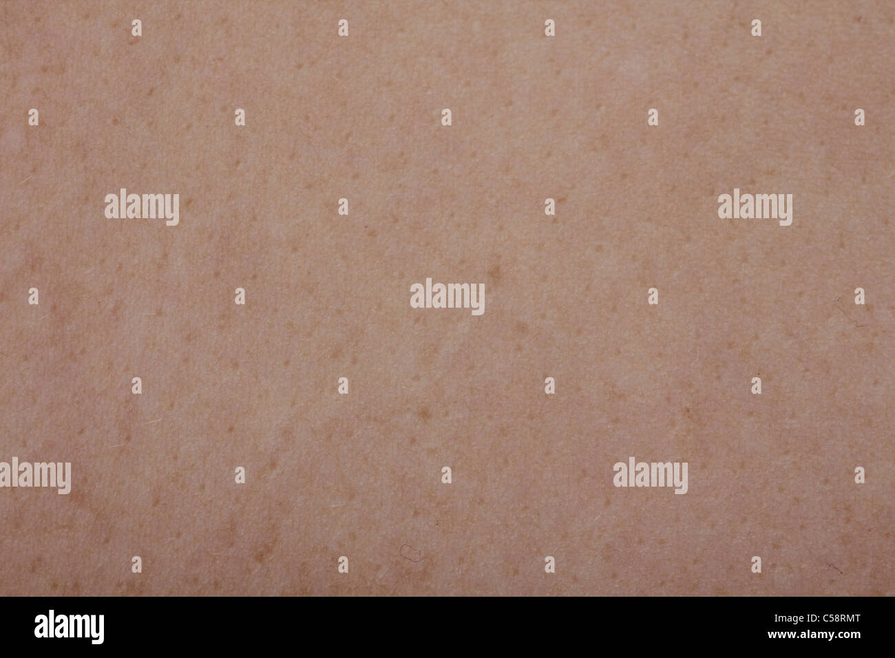 white human skin Stock Photo - Alamy