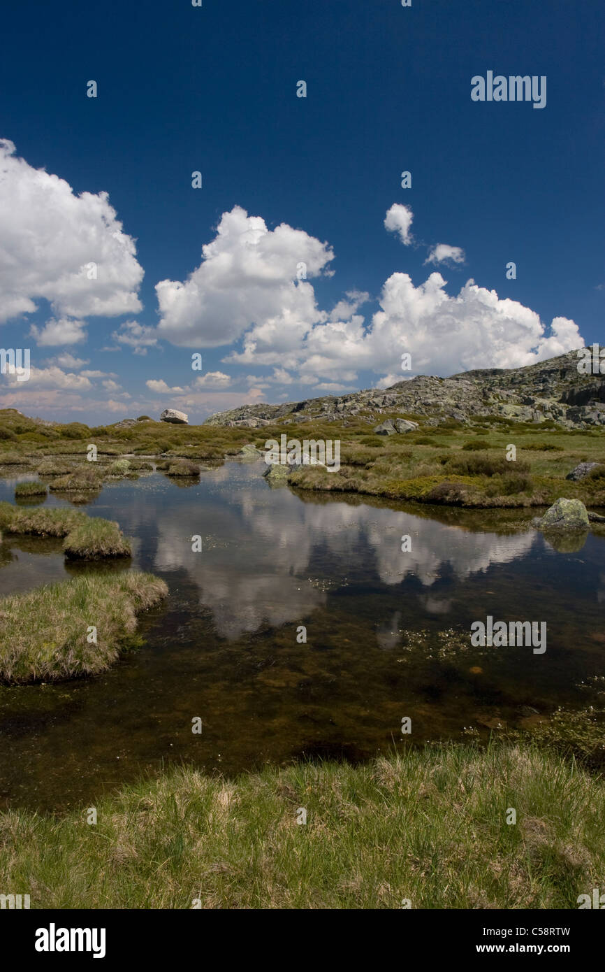 Ponds mountain hi-res stock photography and images - Alamy