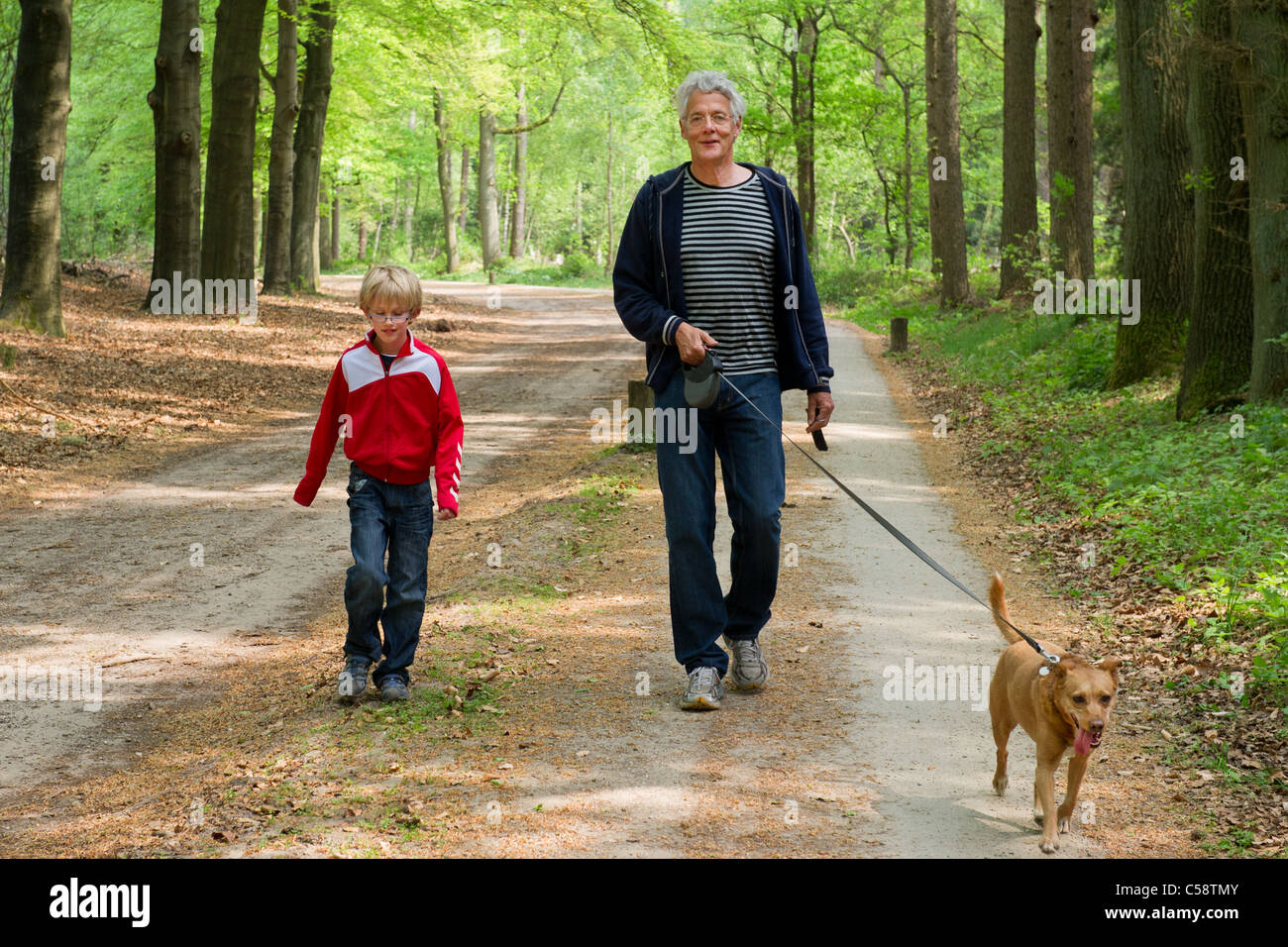 Grandpa and grandchild are walking the dog in the forest Stock Photo ...