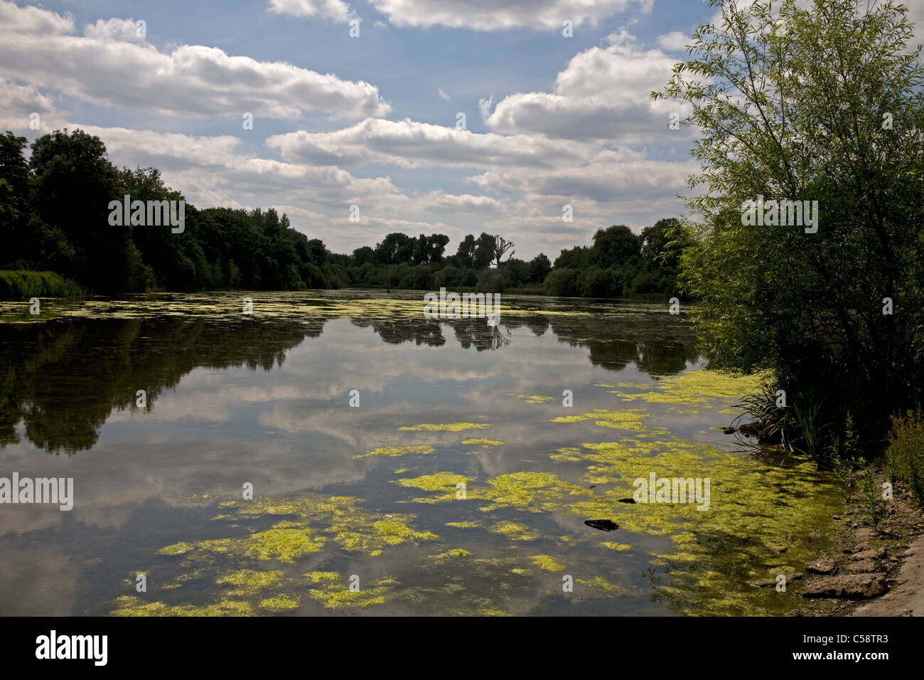 Mutton lake trail hi-res stock photography and images - Alamy