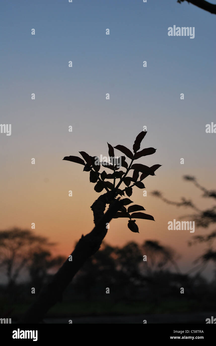 Set scenery hi-res stock photography and images - Alamy