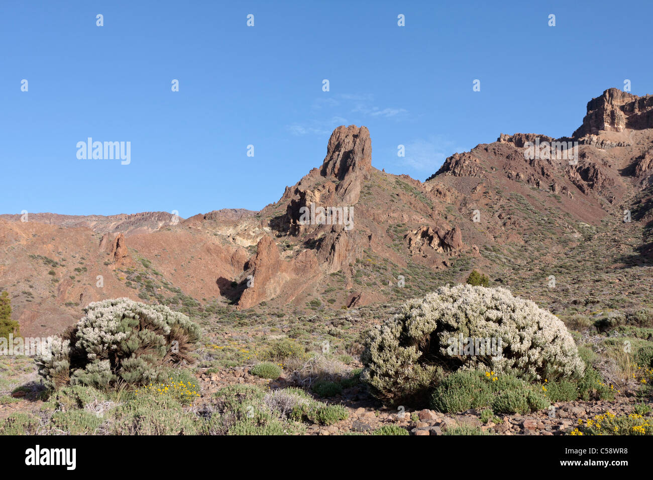 Rock formations caused by wind and water erosion in the national park ...