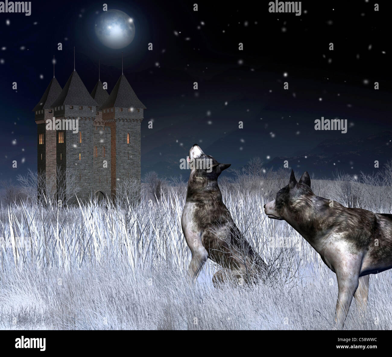 Lonely Castle in Winter Moonlight Stock Photo - Alamy