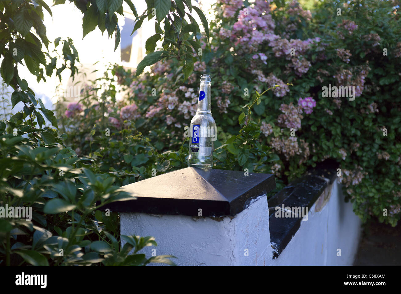 Litter alcohol bottle hi-res stock photography and images - Alamy