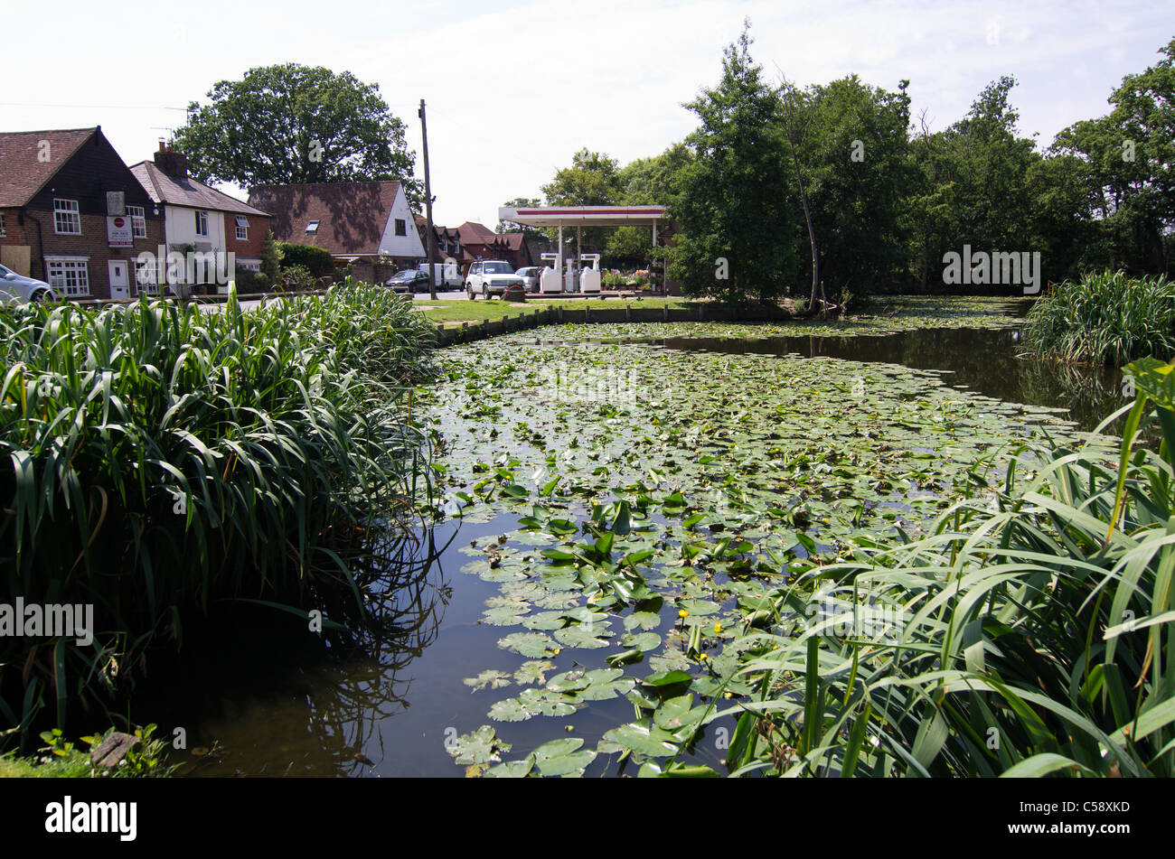 An typical English village, Four Elms, near Edenbridge, Kent, with pond ...