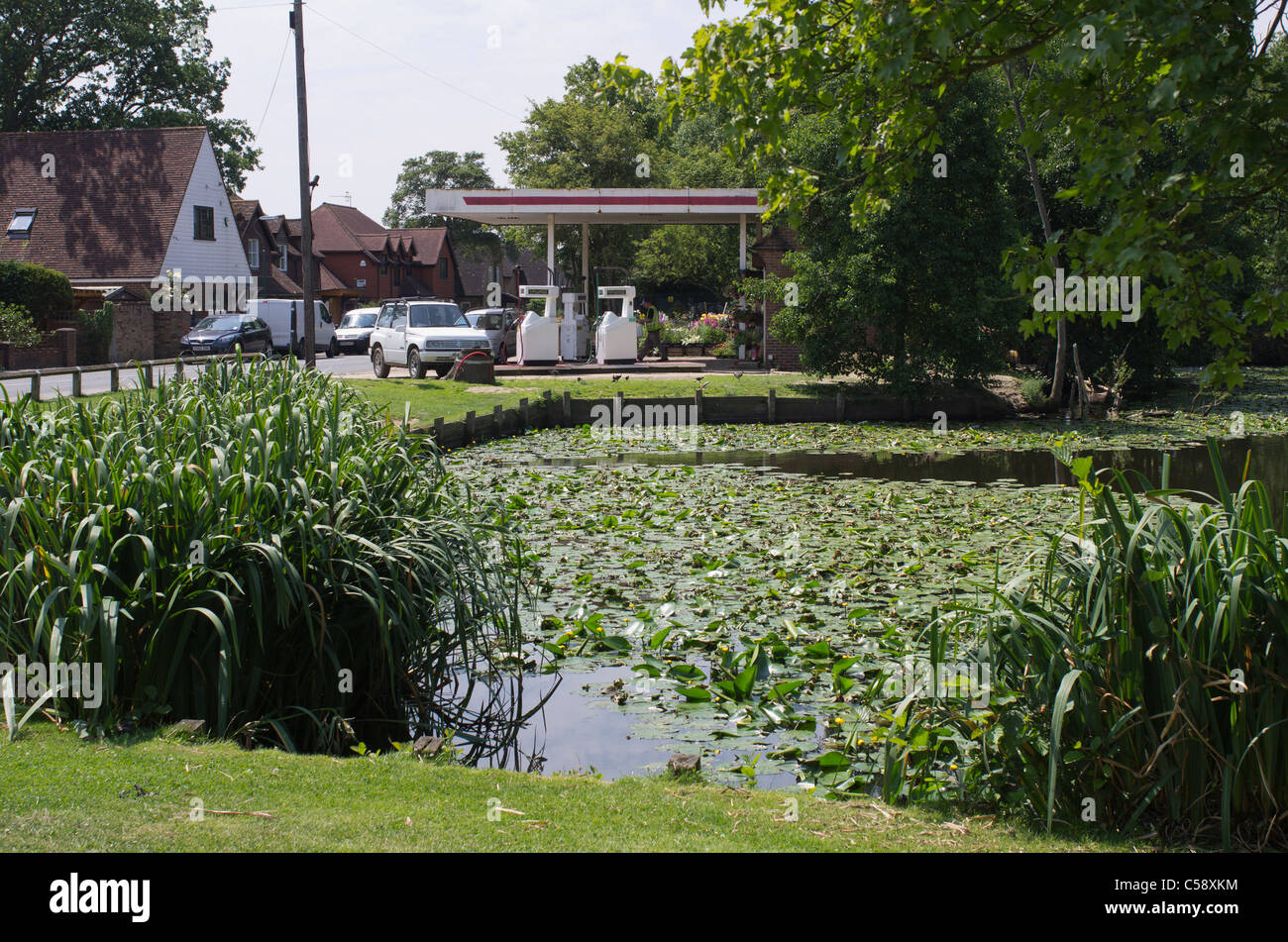 Four elms hi-res stock photography and images - Alamy