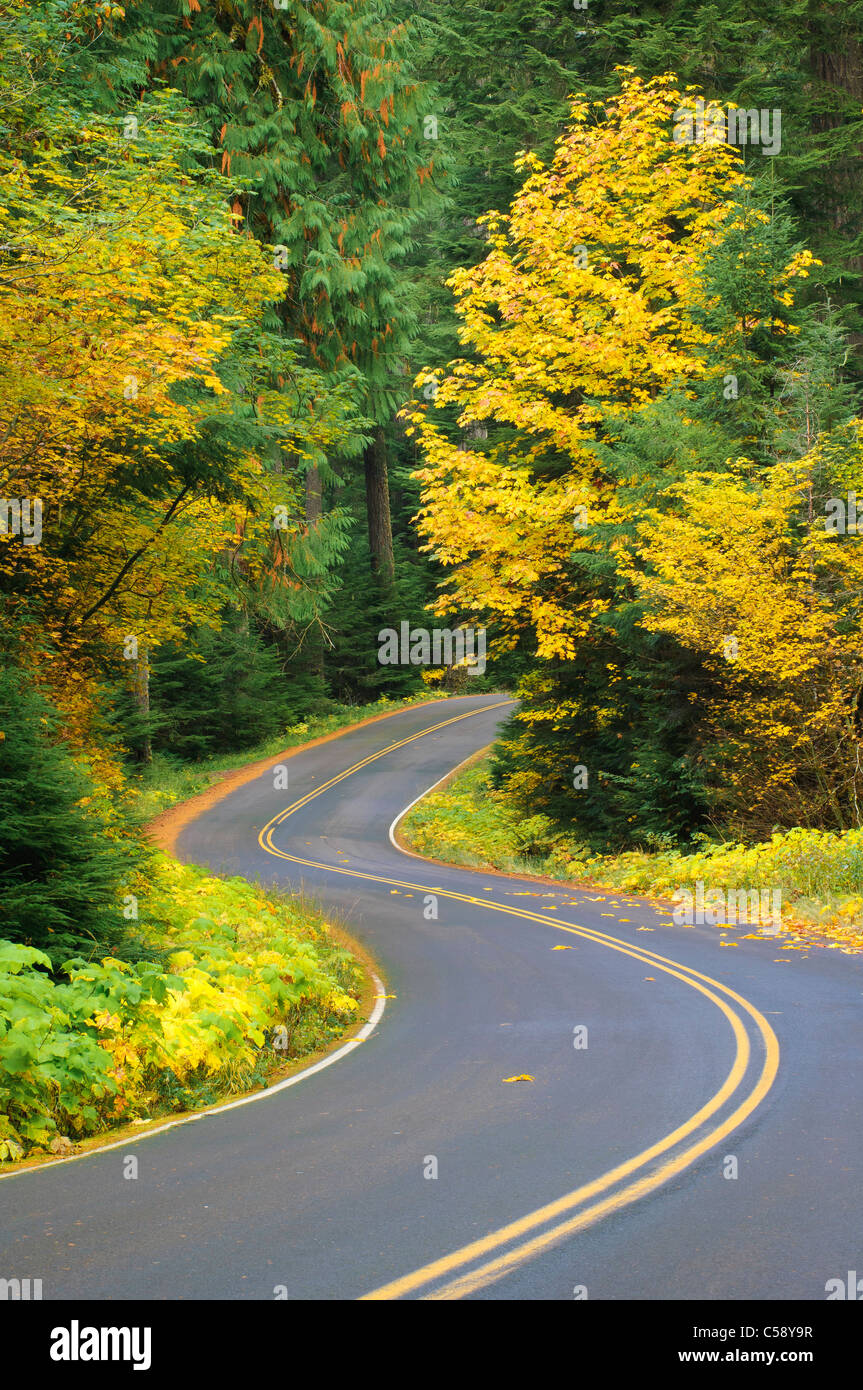 Backroads s curve hi-res stock photography and images - Alamy