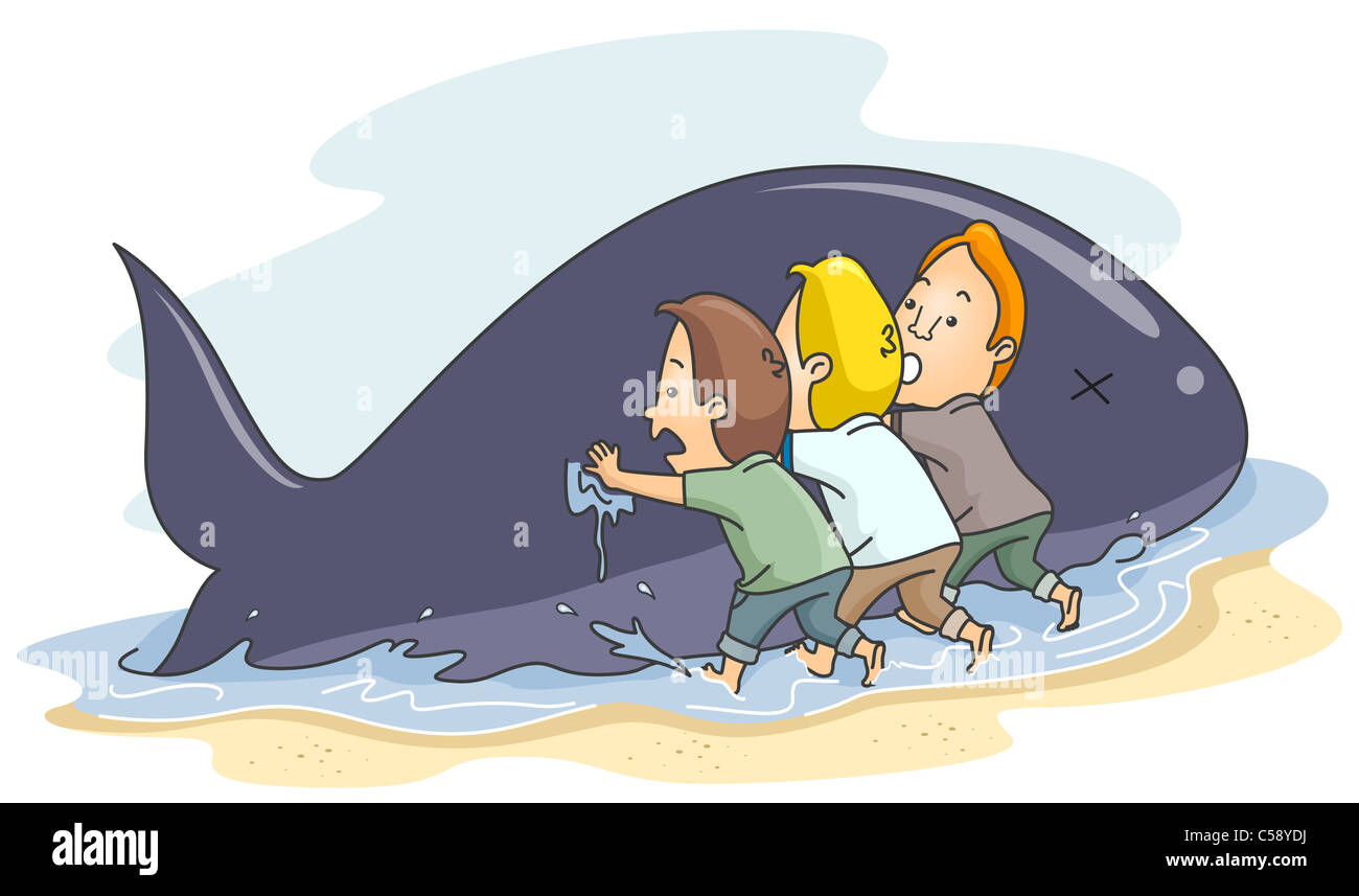 A Small Group of People Pushing A Beached Whale Back to the Ocean Stock Photo - Alamy