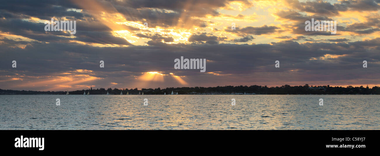 Perth swan river with swan hi-res stock photography and images - Alamy