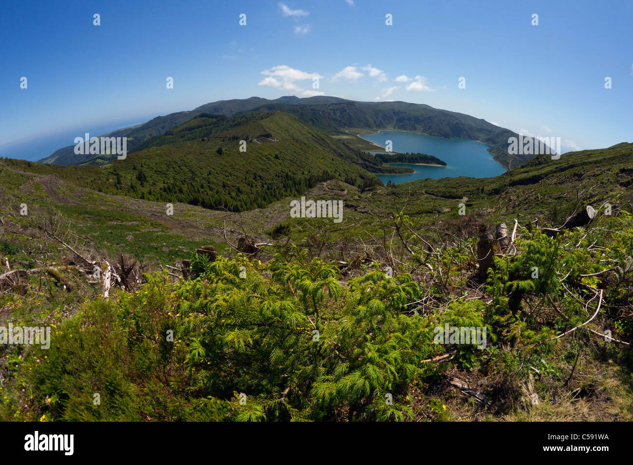 Lagoa do Fogo - the Fire Lake, a famous crater lake in São Miguel ...