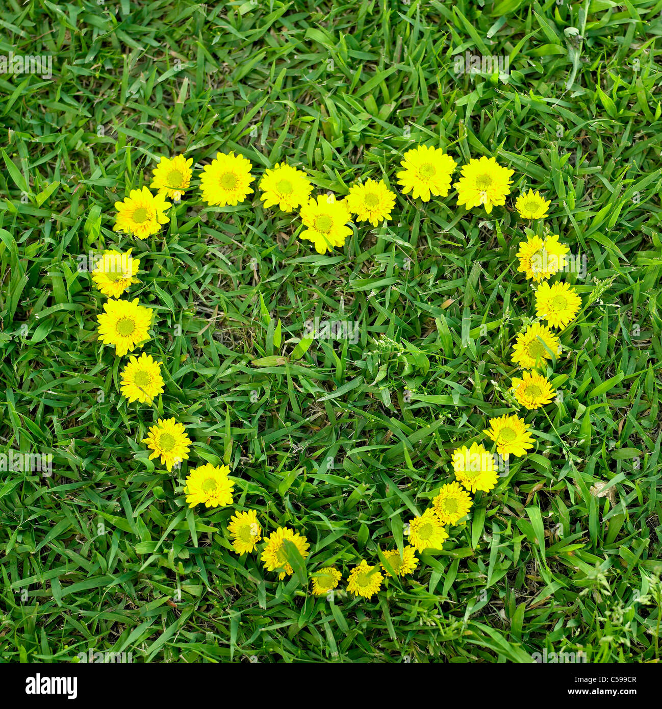 Heart shape yellow flowers Stock Photo - Alamy