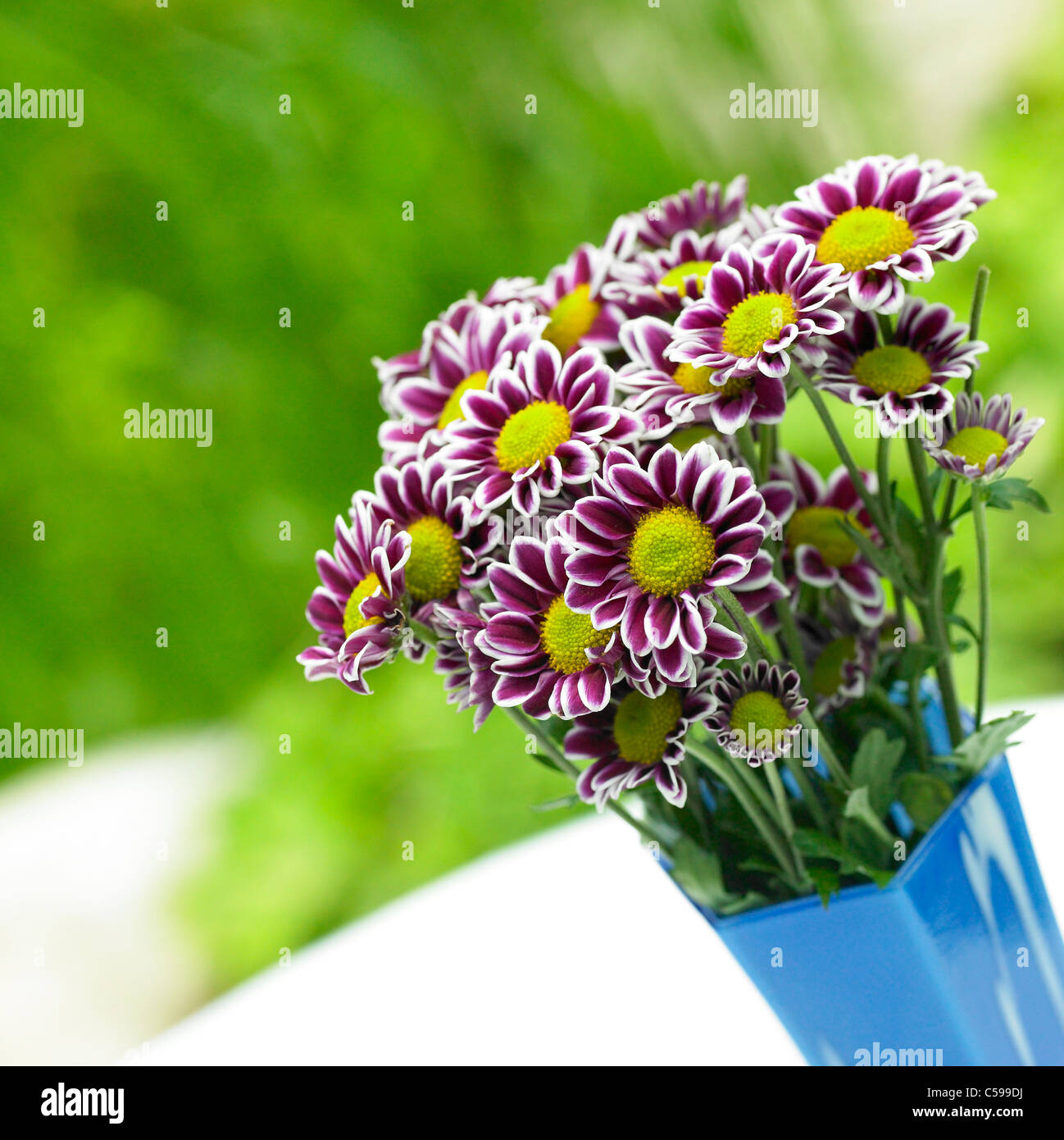 Close-up of flowers in vase Stock Photo - Alamy