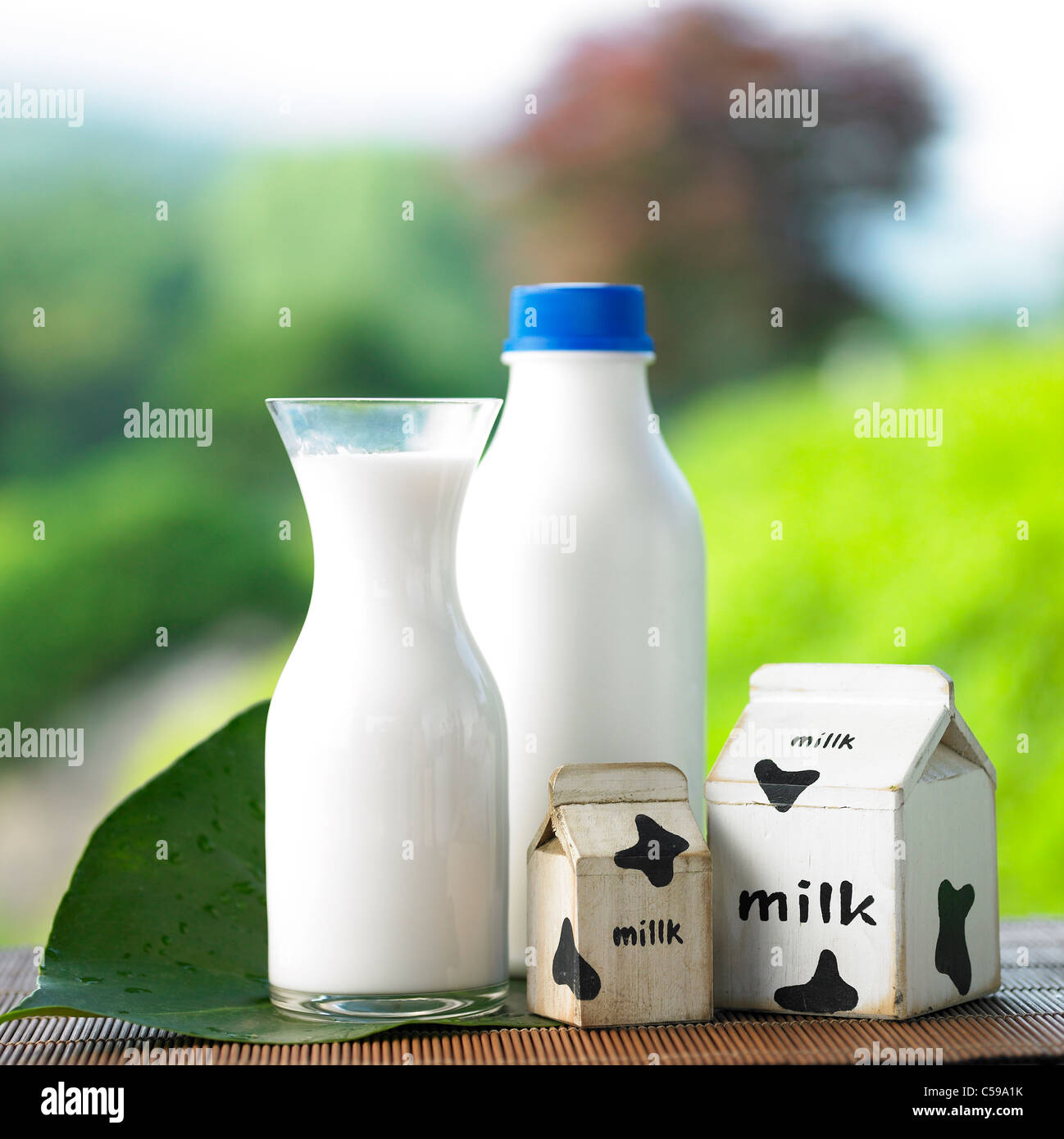 Close-up of milk bottle and cartons Stock Photo - Alamy