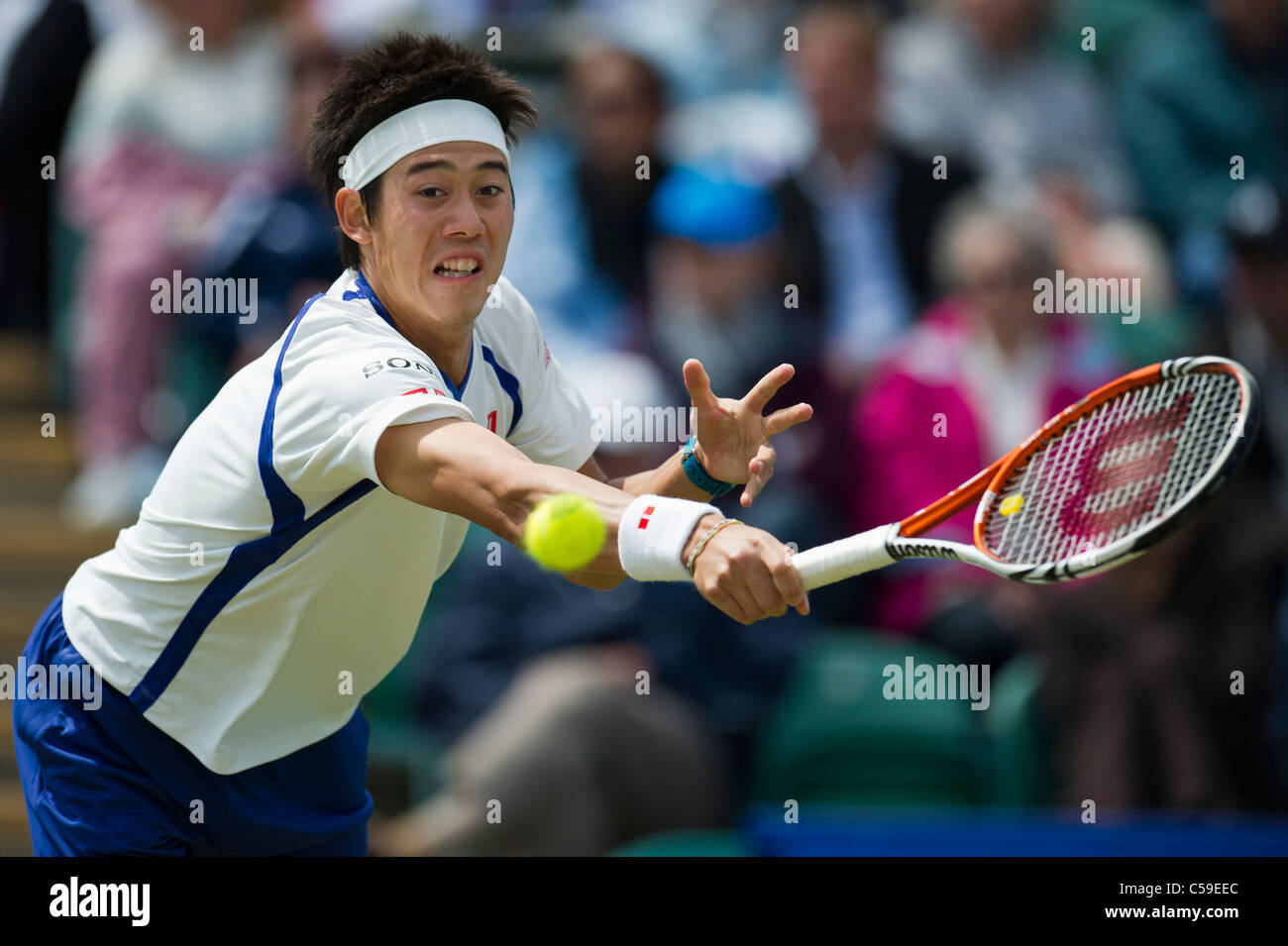 Kei Nishikori in action Stock Photo - Alamy