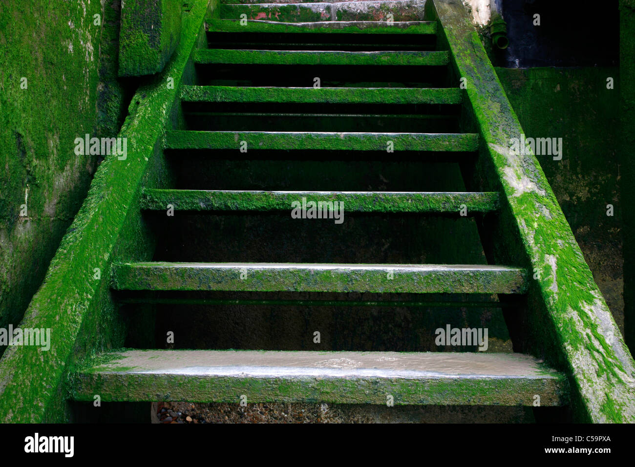 Steps leading down to the River Thames foreshore at New Crane Stairs ...