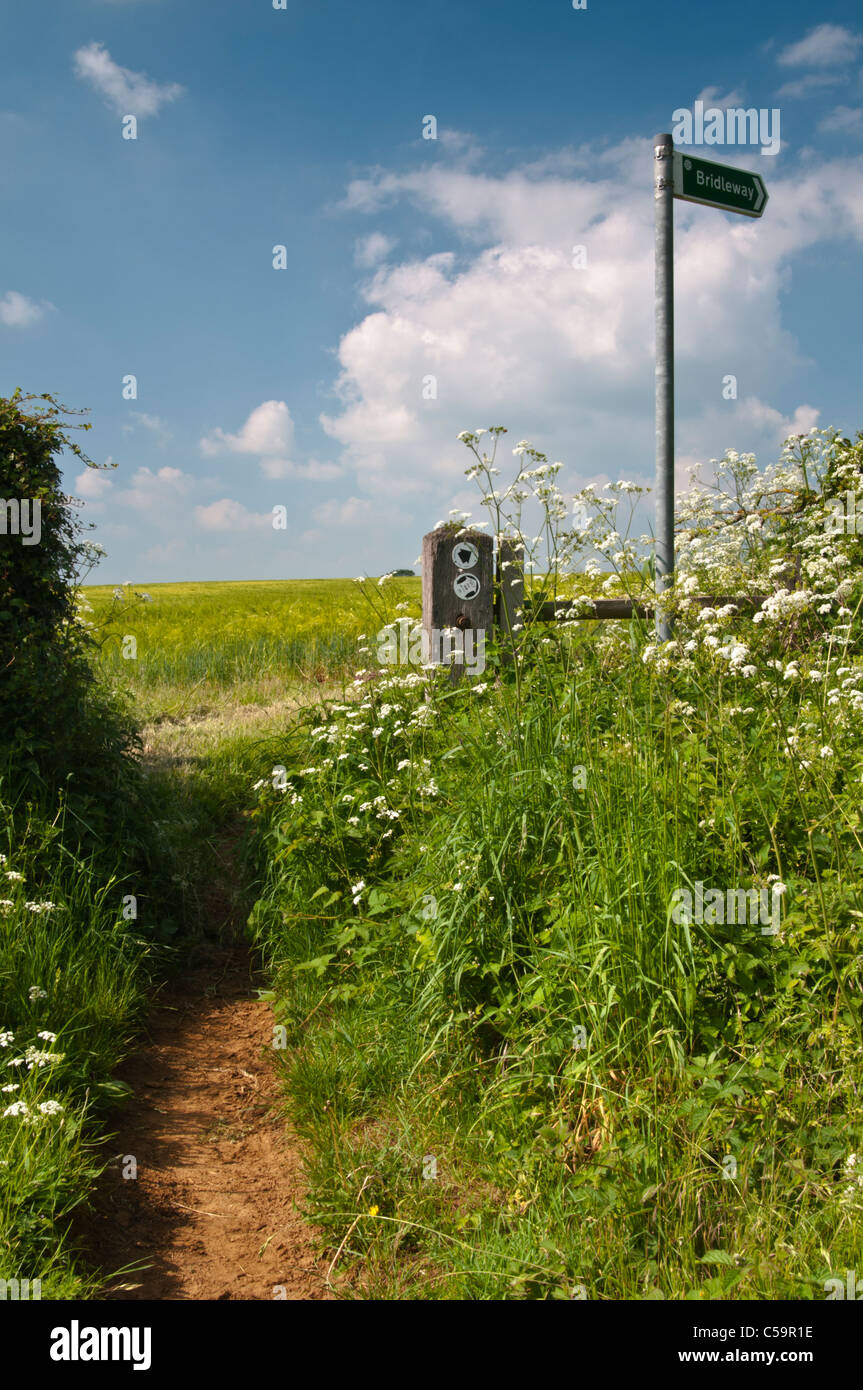 A Bridleway path as it enters a field of ripening Barley with a sign ...