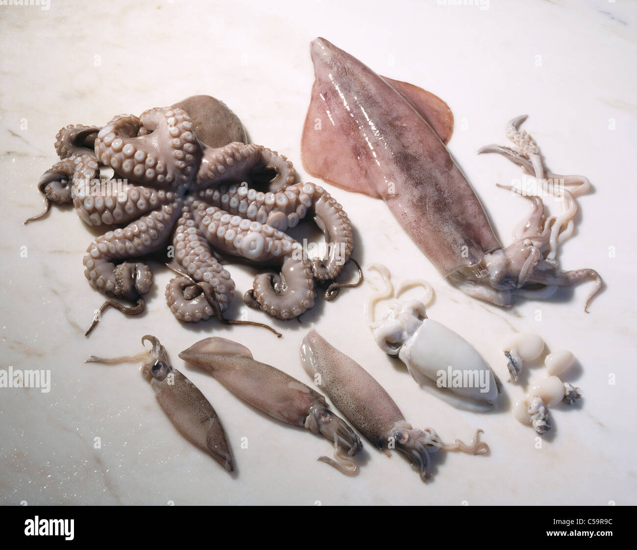 Cut out: Seafood Stock Photo - Alamy
