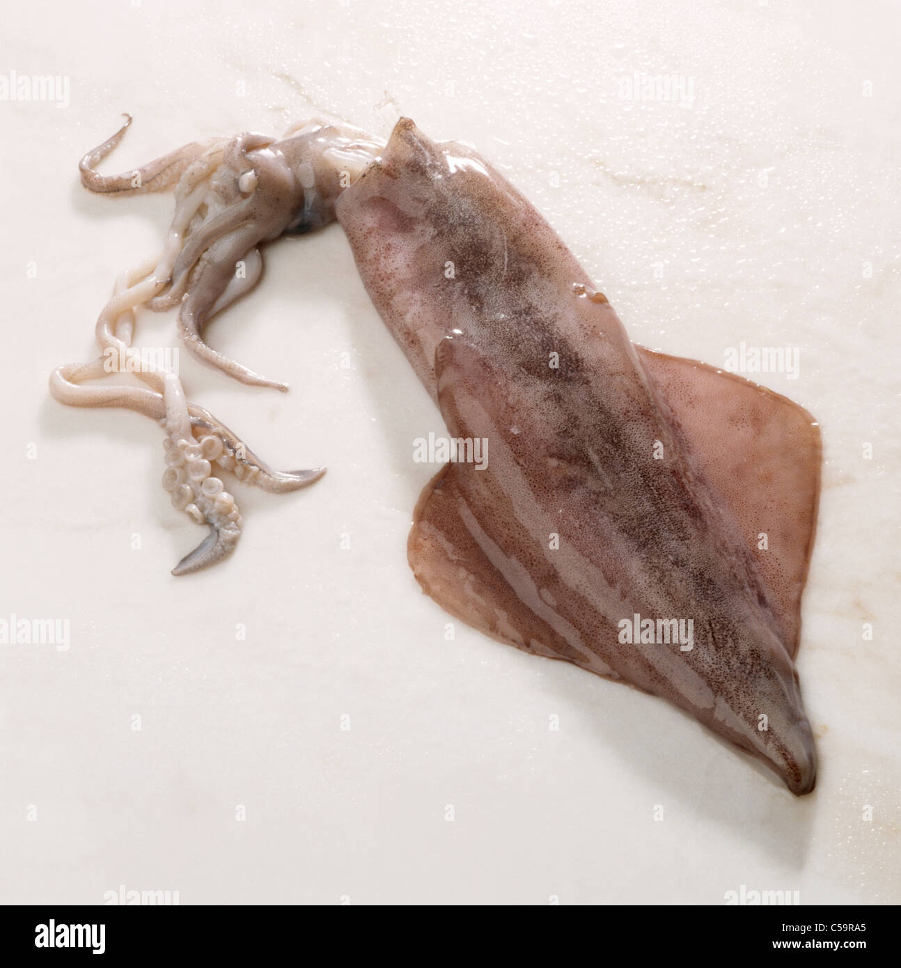 Cut out: Calamari cuttlefish squid Stock Photo - Alamy