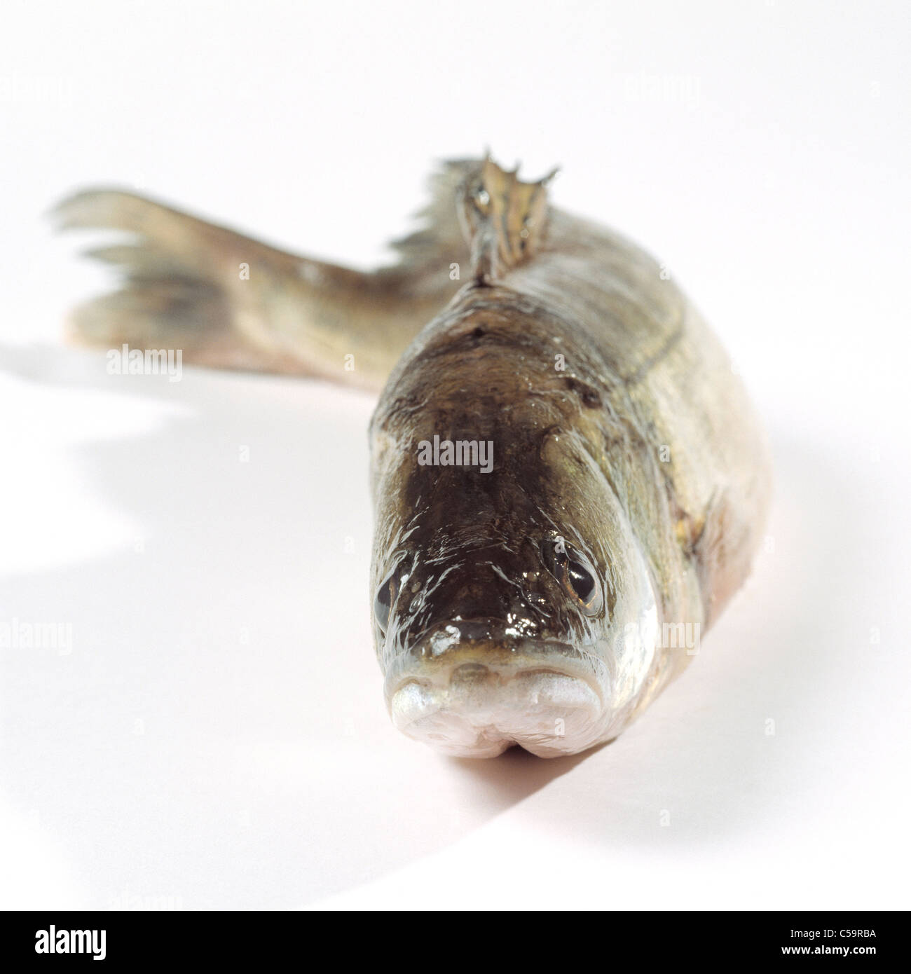 Zander recipe hi-res stock photography and images - Alamy