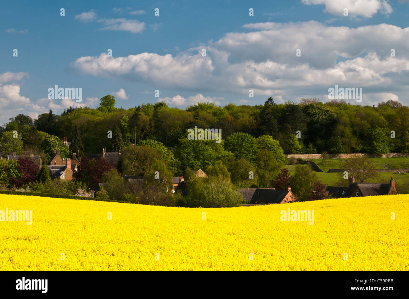 The picturesque village of Harlestone in Northamptonshire, England ...