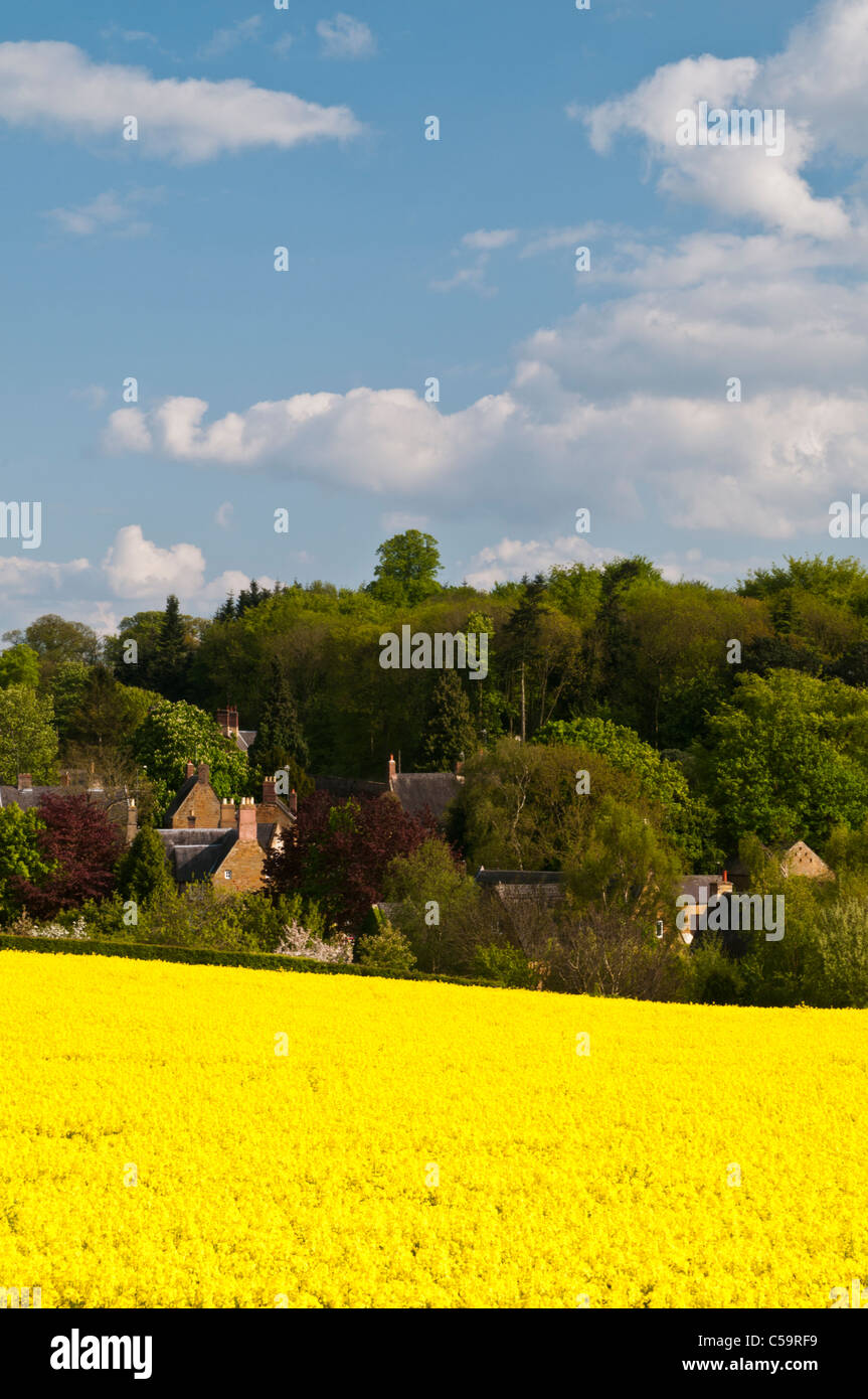 The picturesque village of Harlestone in Northamptonshire, England ...