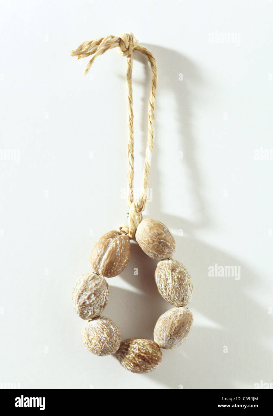 Nutmegcut hi-res stock photography and images - Alamy