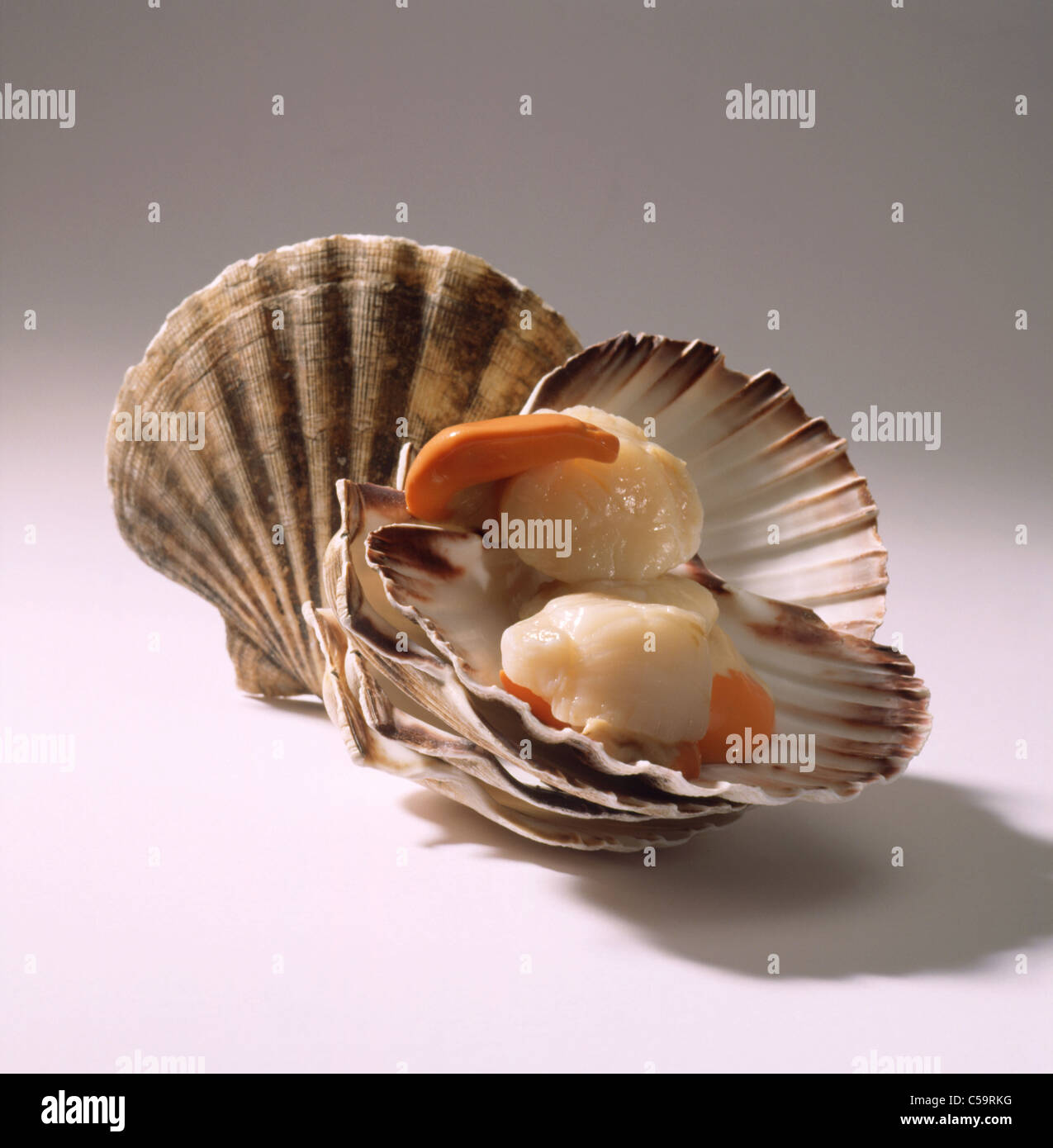 Scallopcut hi-res stock photography and images - Alamy