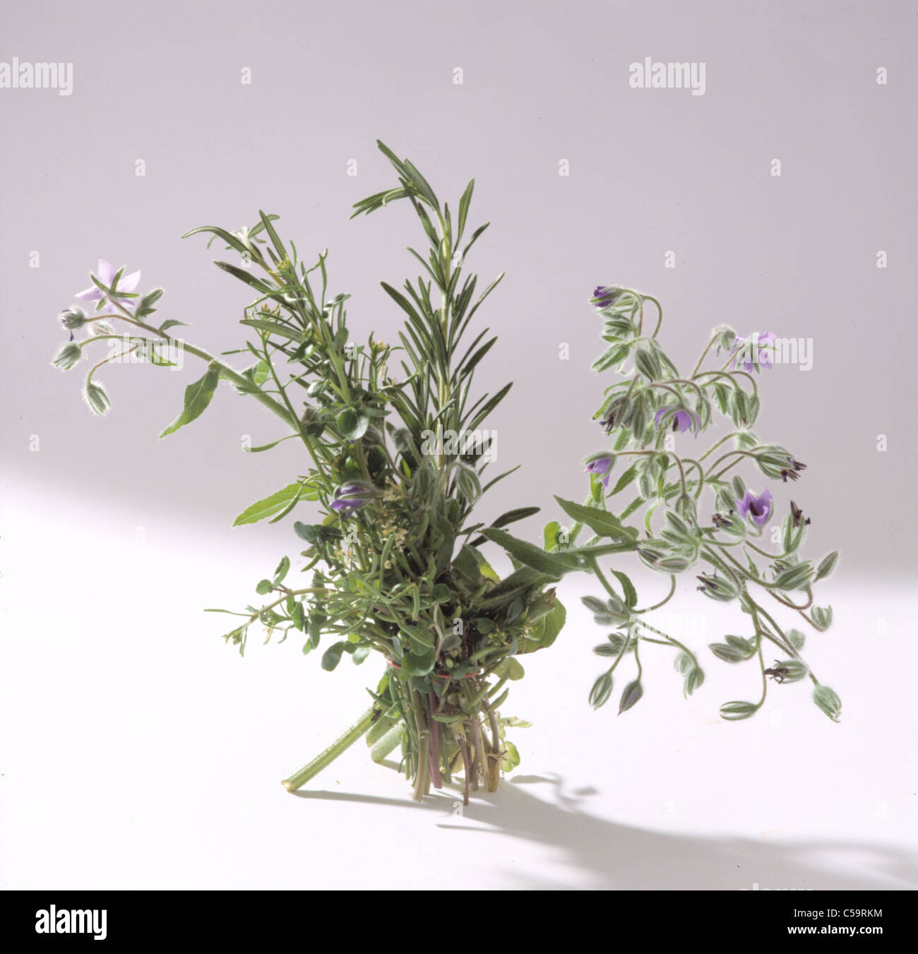 Rosemary borage water cress hi-res stock photography and images - Alamy