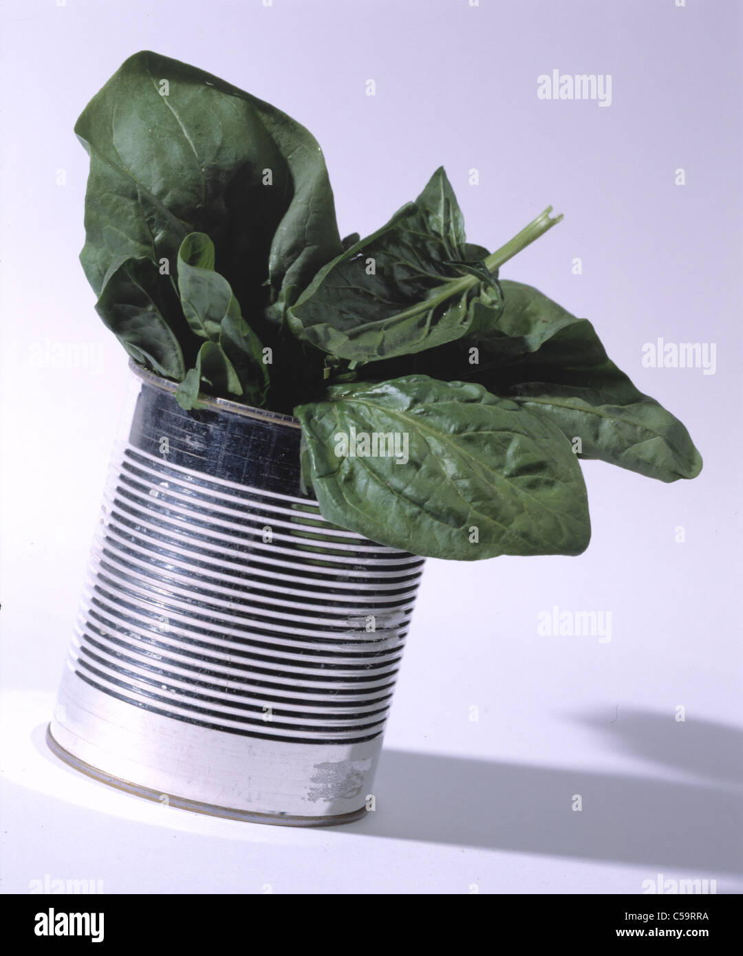 Cut out: Spinach Stock Photo - Alamy