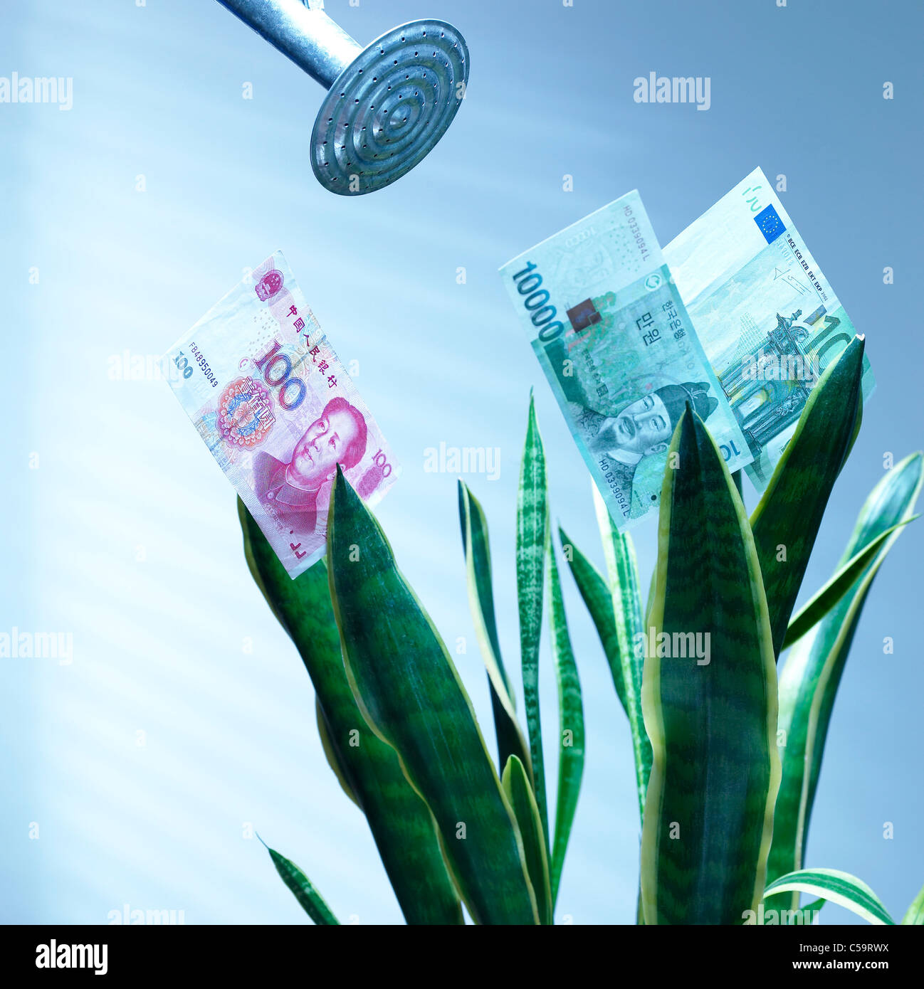 Money showering hi-res stock photography and images - Alamy