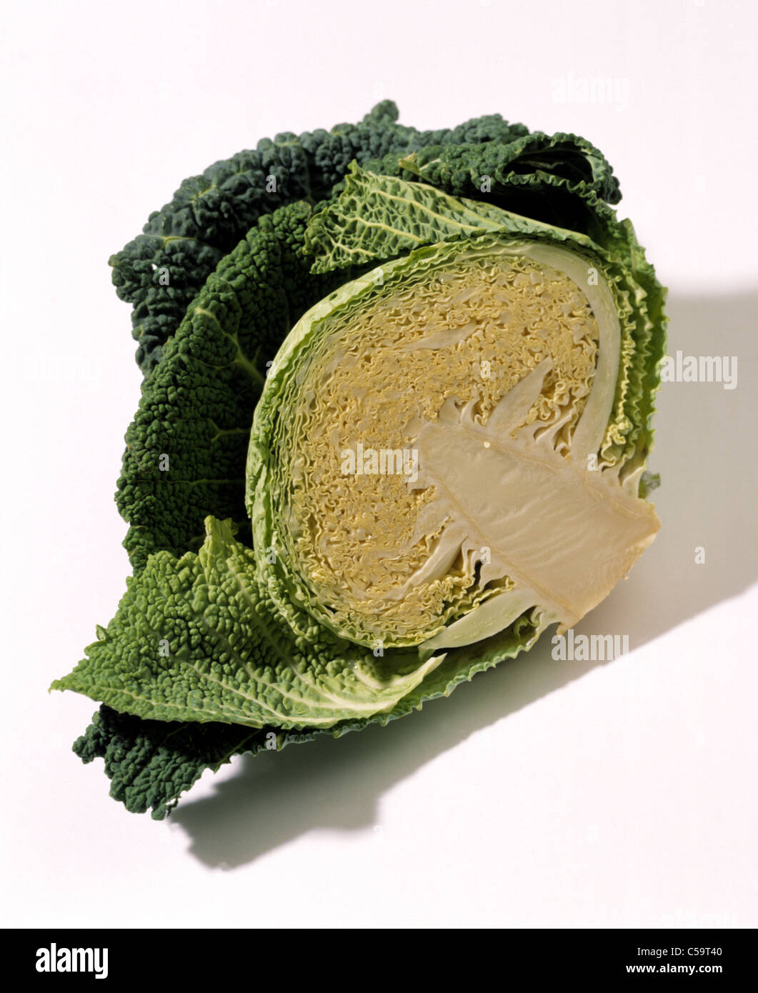 Cut out: Savoy cabbage Stock Photo - Alamy