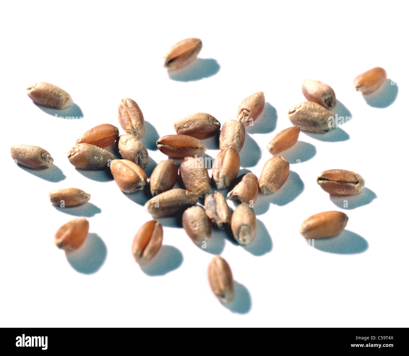 Cut out: Wheat kernels Stock Photo - Alamy