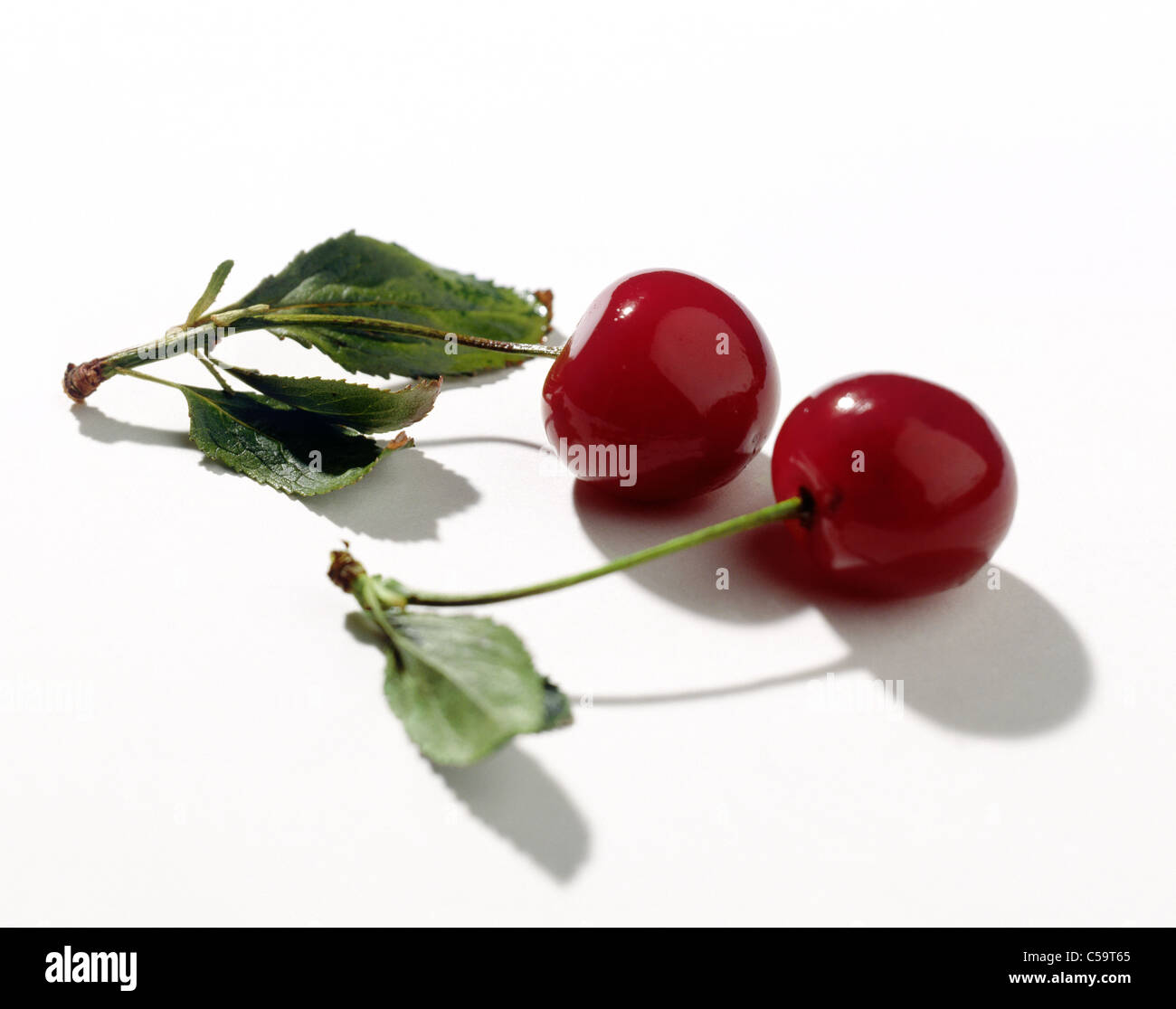 Cut out: Morello cherry Stock Photo - Alamy